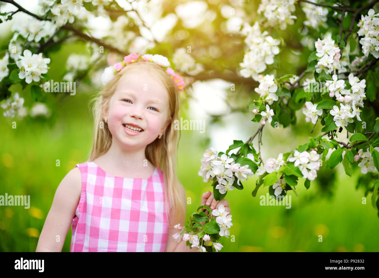 Adorable little girl in blooming apple tree garden on beautiful spring day. Cute child picking ...