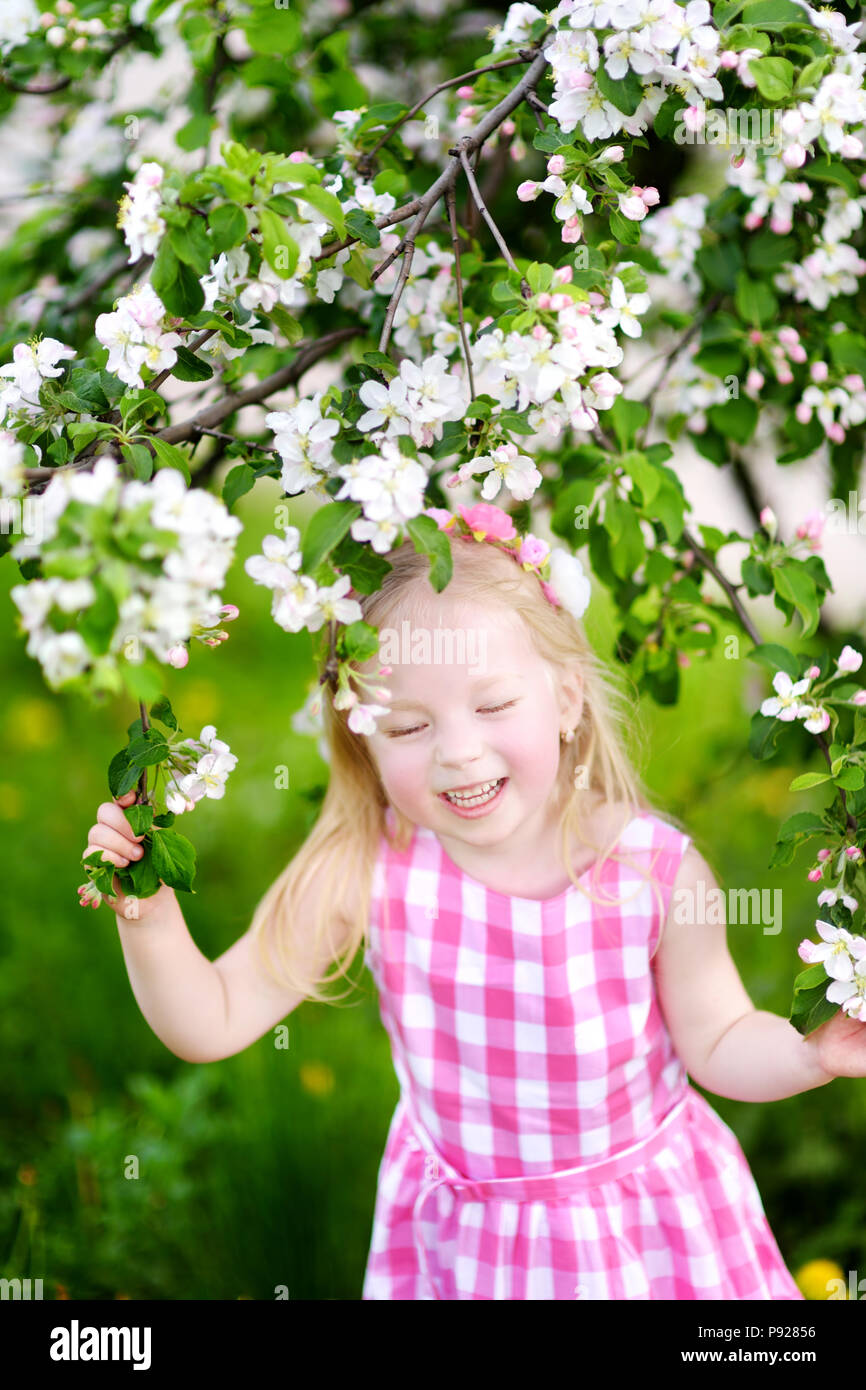 Adorable little girl in blooming apple tree garden on beautiful spring day. Cute child picking ...