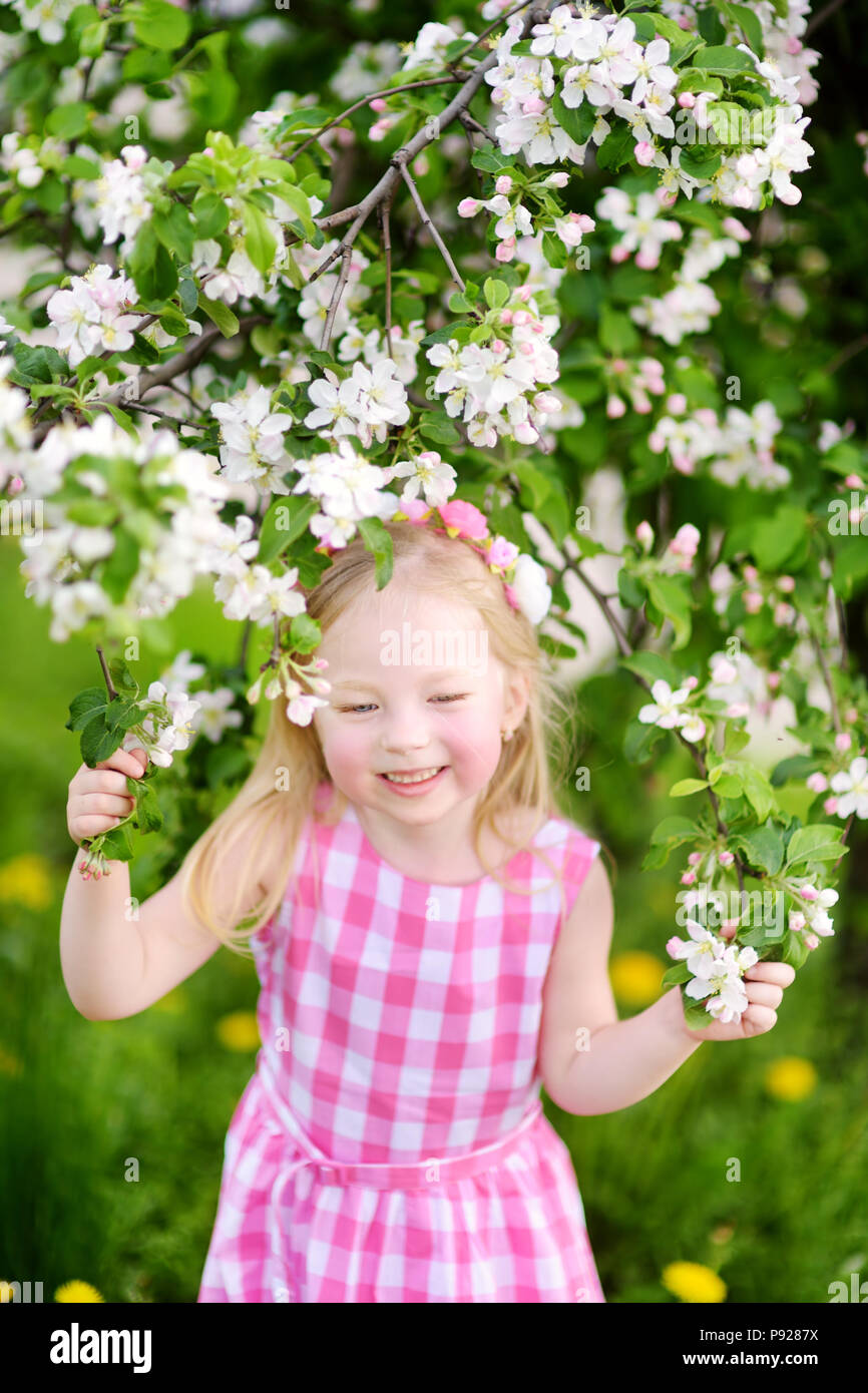 Adorable little girl in blooming apple tree garden on beautiful spring day. Cute child picking ...