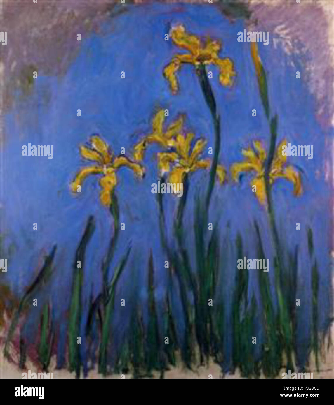 Irises By Monet Stock Photos & Irises By Monet Stock Images - Alamy
