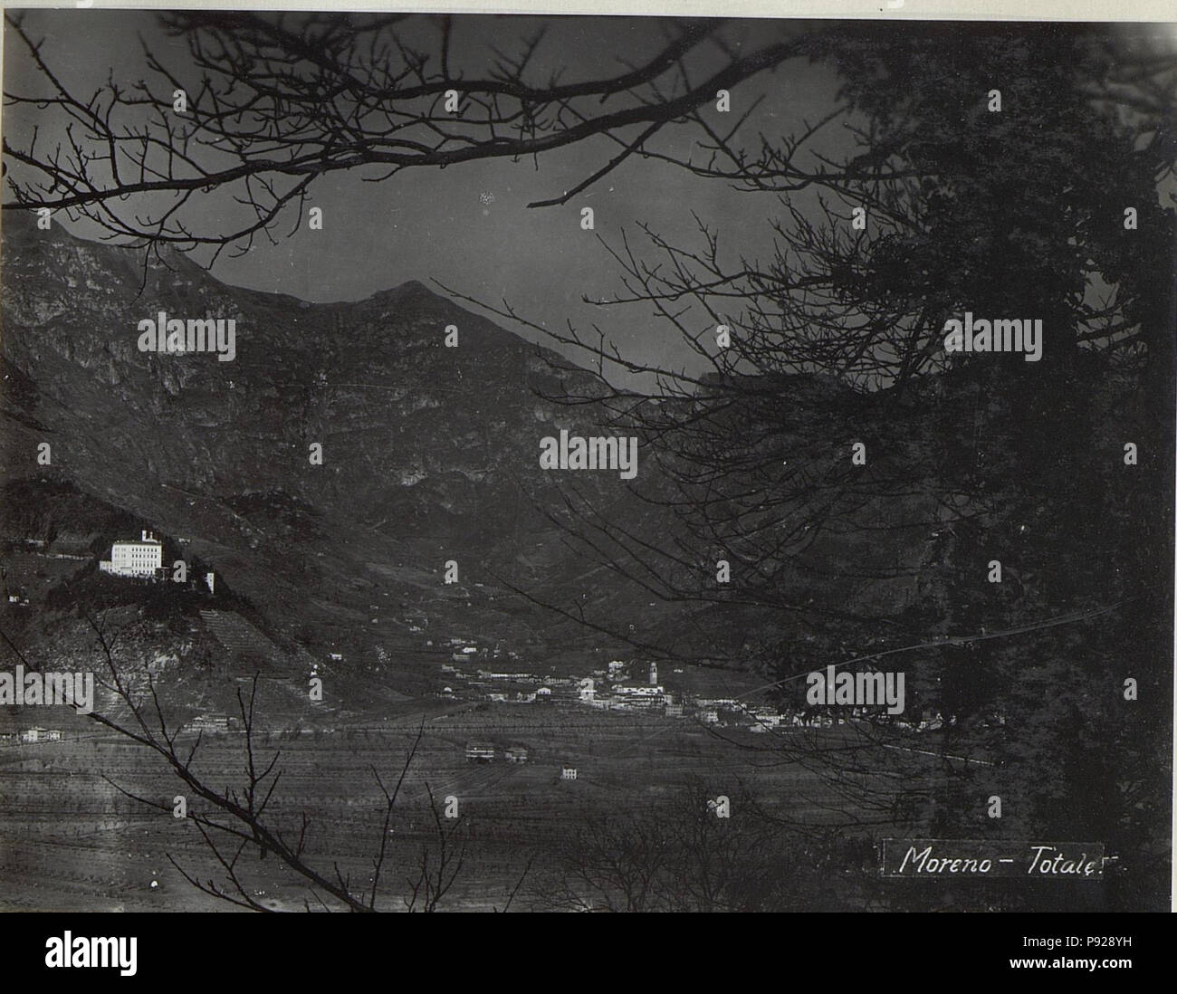 Morino hi-res stock photography and images - Alamy