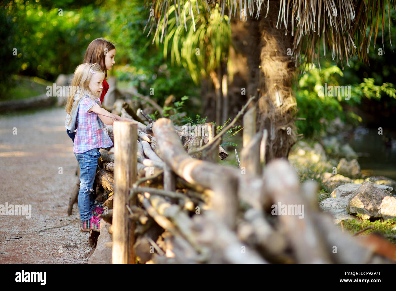 Two cute little sisters watching animals in the zoo on warm and sunny ...