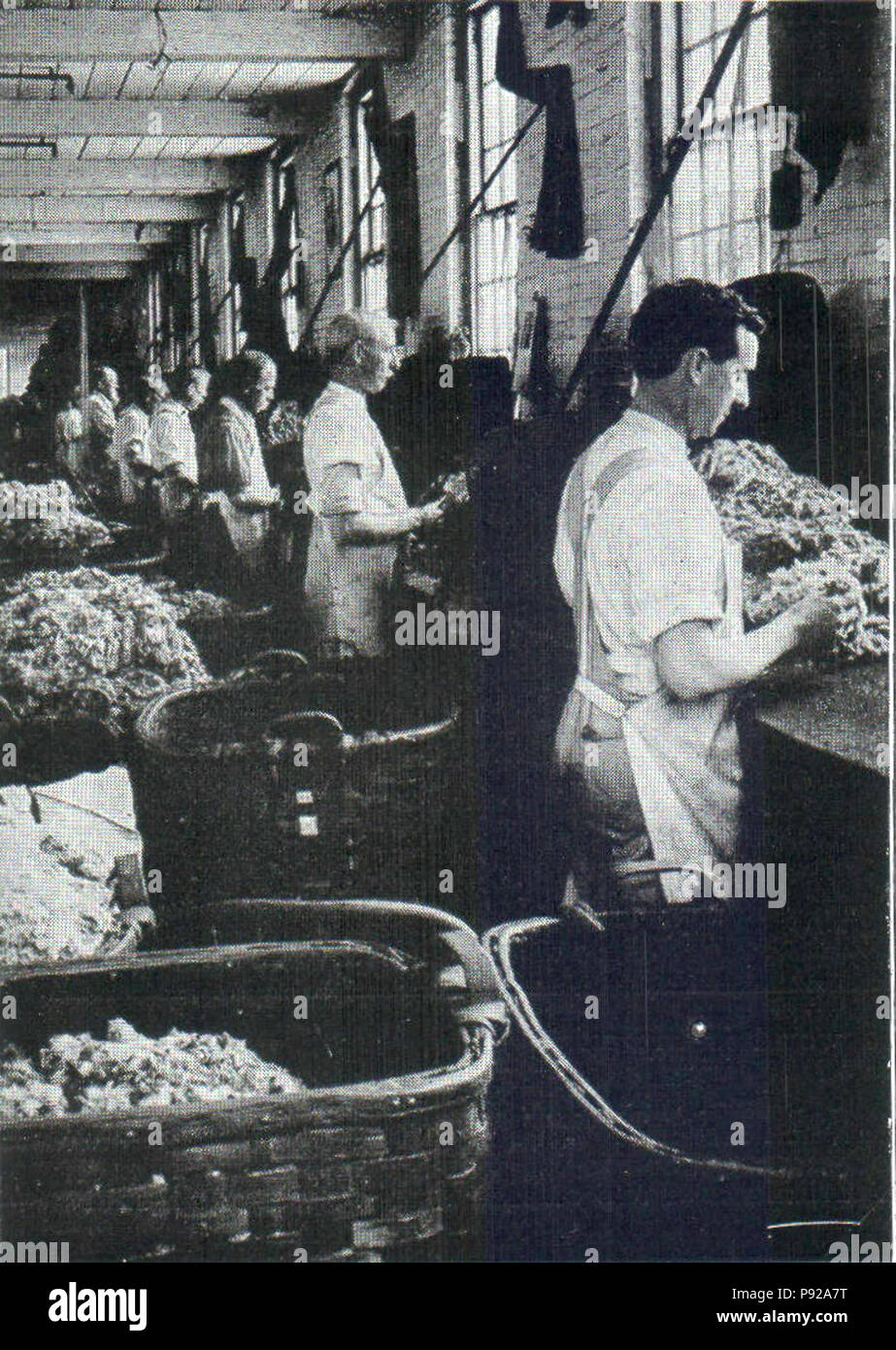 Wool sorting hi-res stock photography and images - Alamy