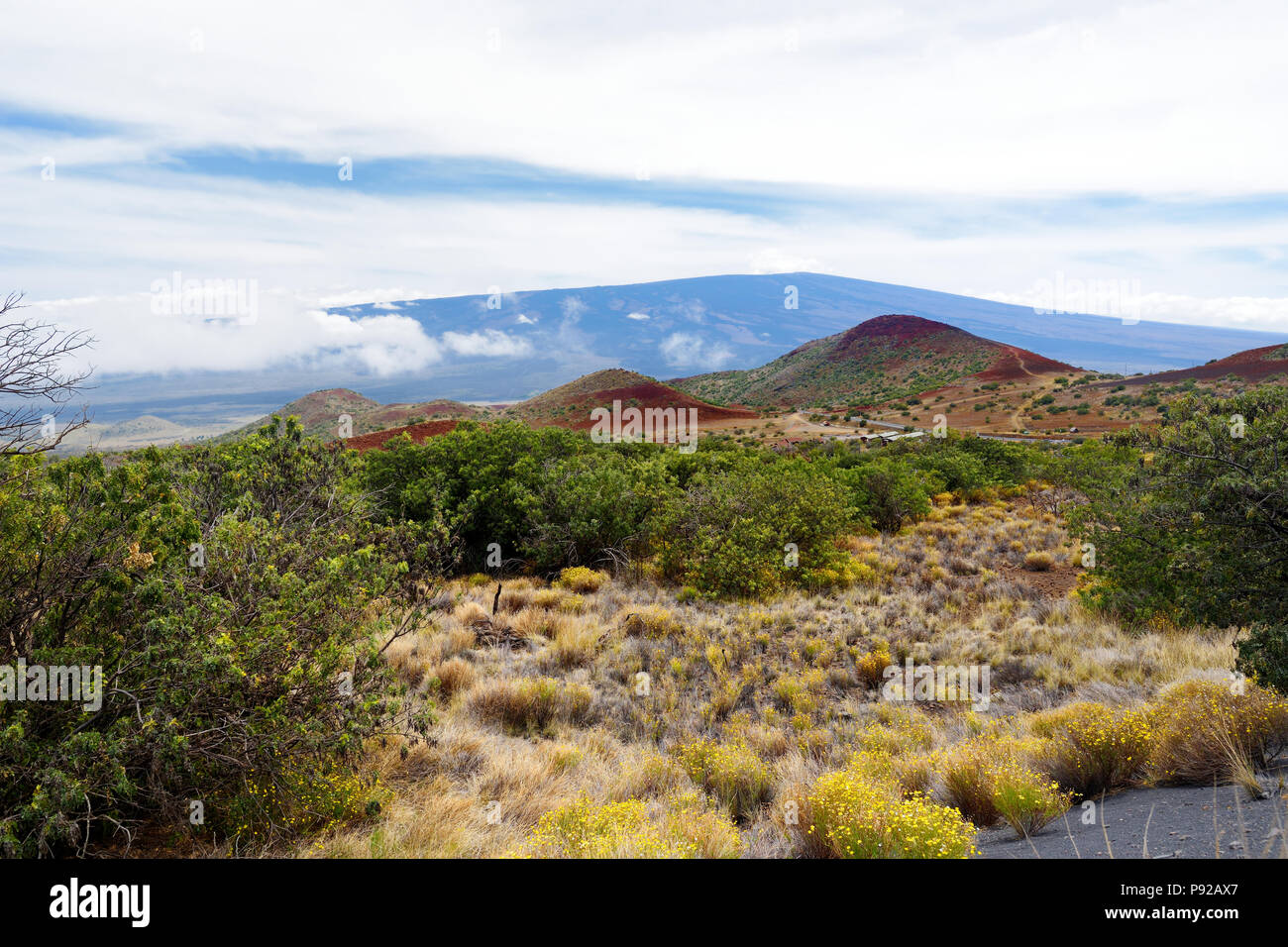 Breathtaking view of Mauna Loa volcano on the Big Island of Hawaii. The ...