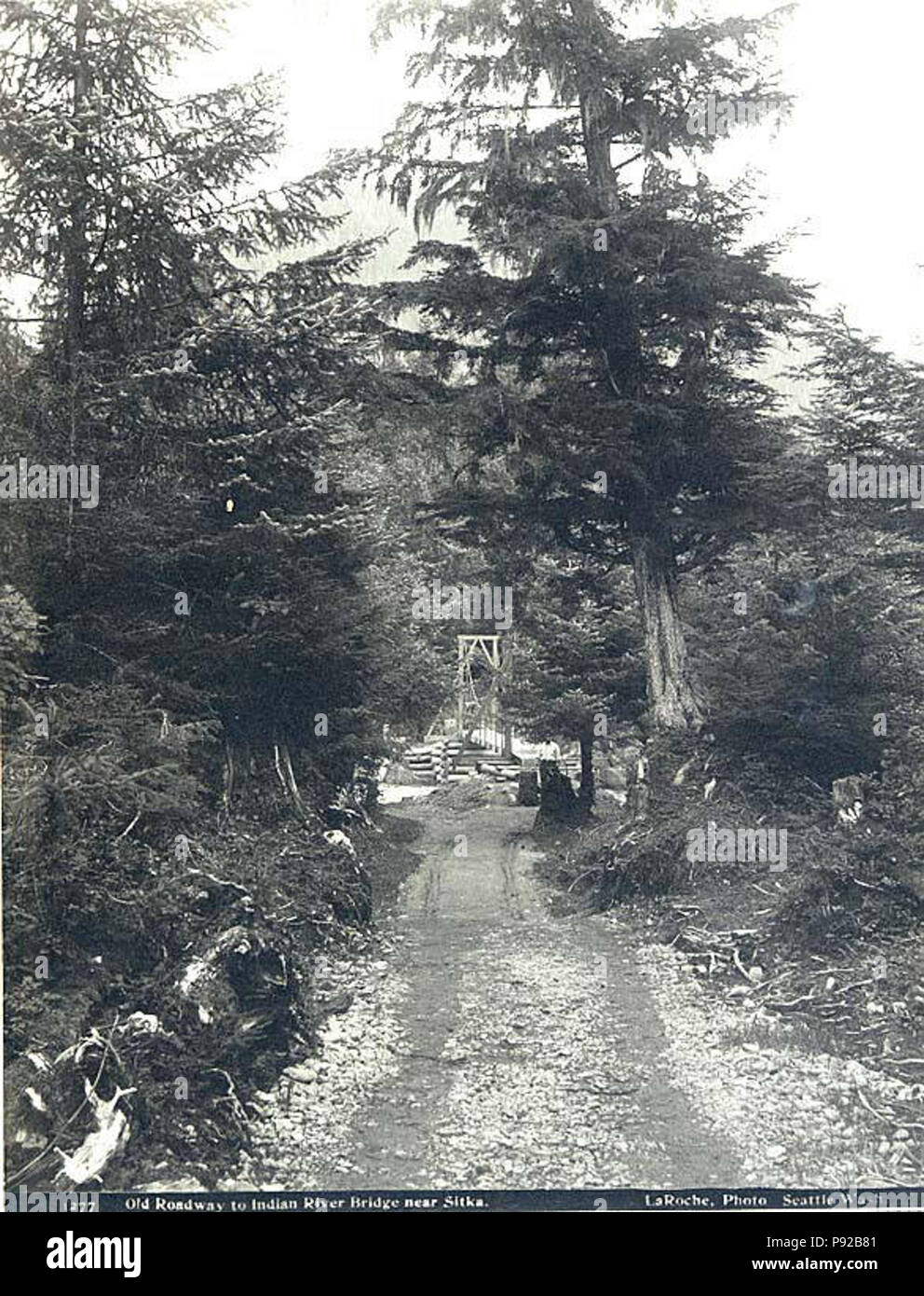 . 442 Old roadway to Indian River bridge near Sitka, Alaska, ca 1897 ...