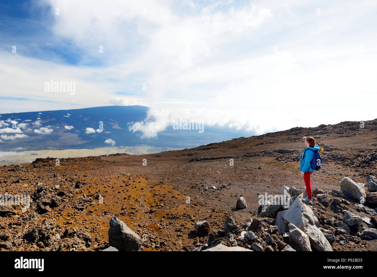 Tourist admiring breathtaking view of Mauna Loa volcano on the Big ...
