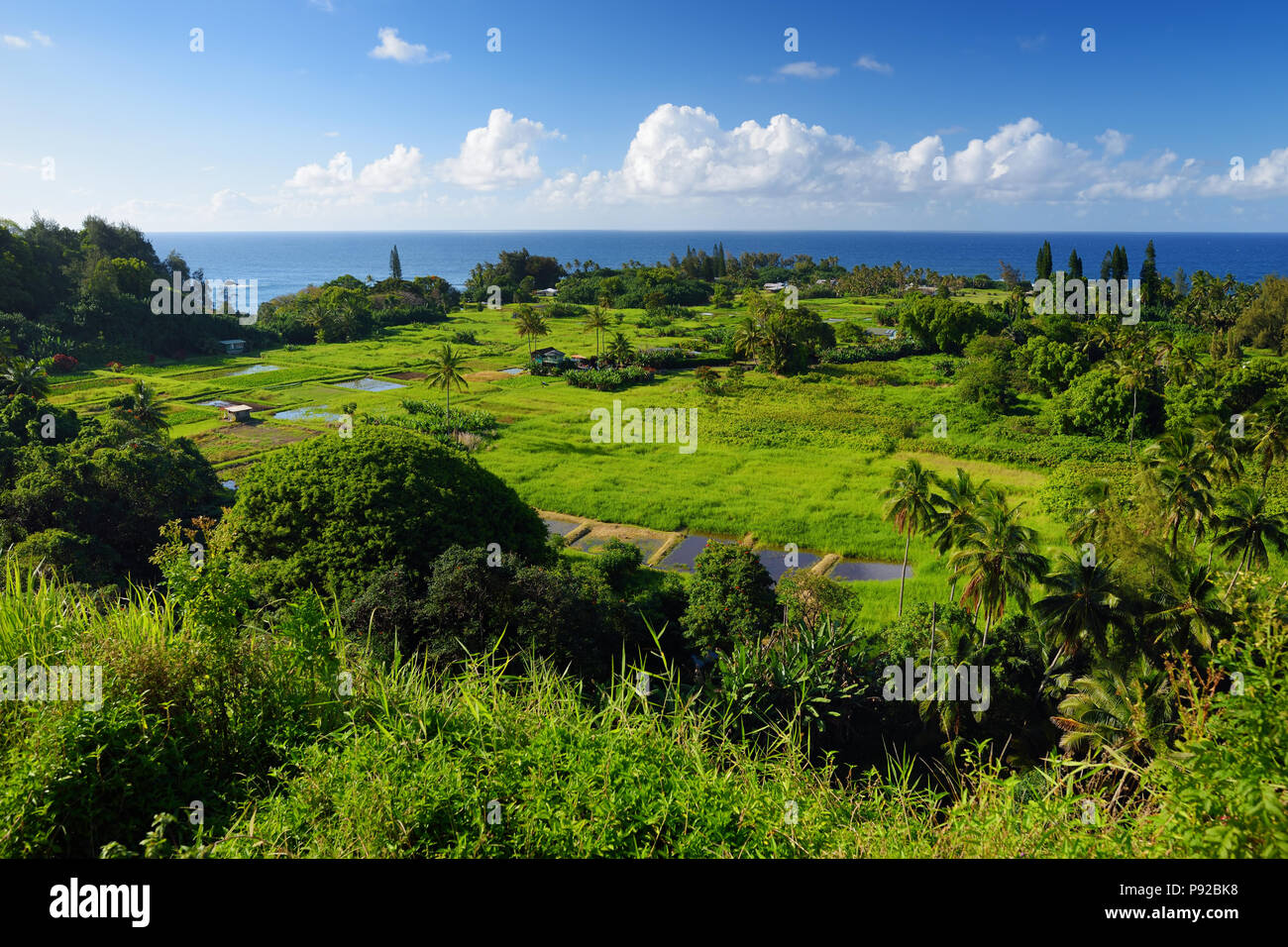 Beautiful views of Maui North coast seen from famous winding Road to ...