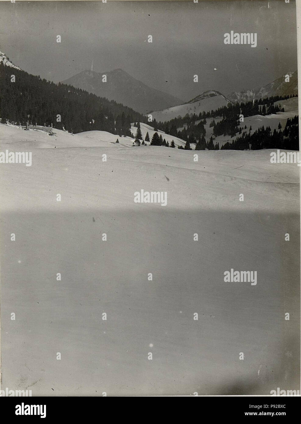 Plaut ost hi-res stock photography and images - Alamy