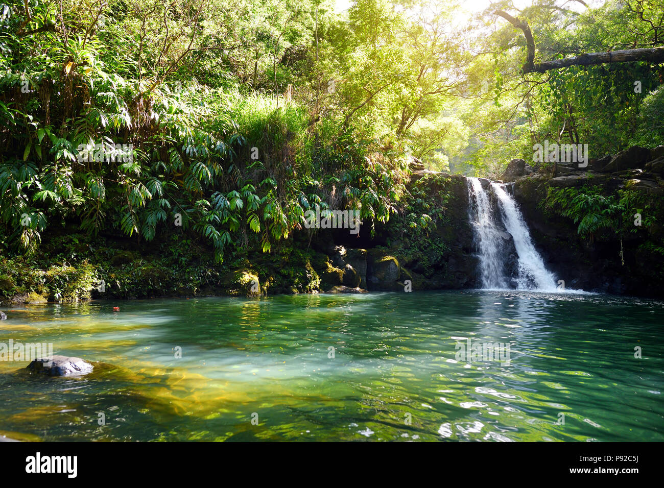 Tropical waterfall Lower Waikamoi Falls and a small crystal clear pond ...