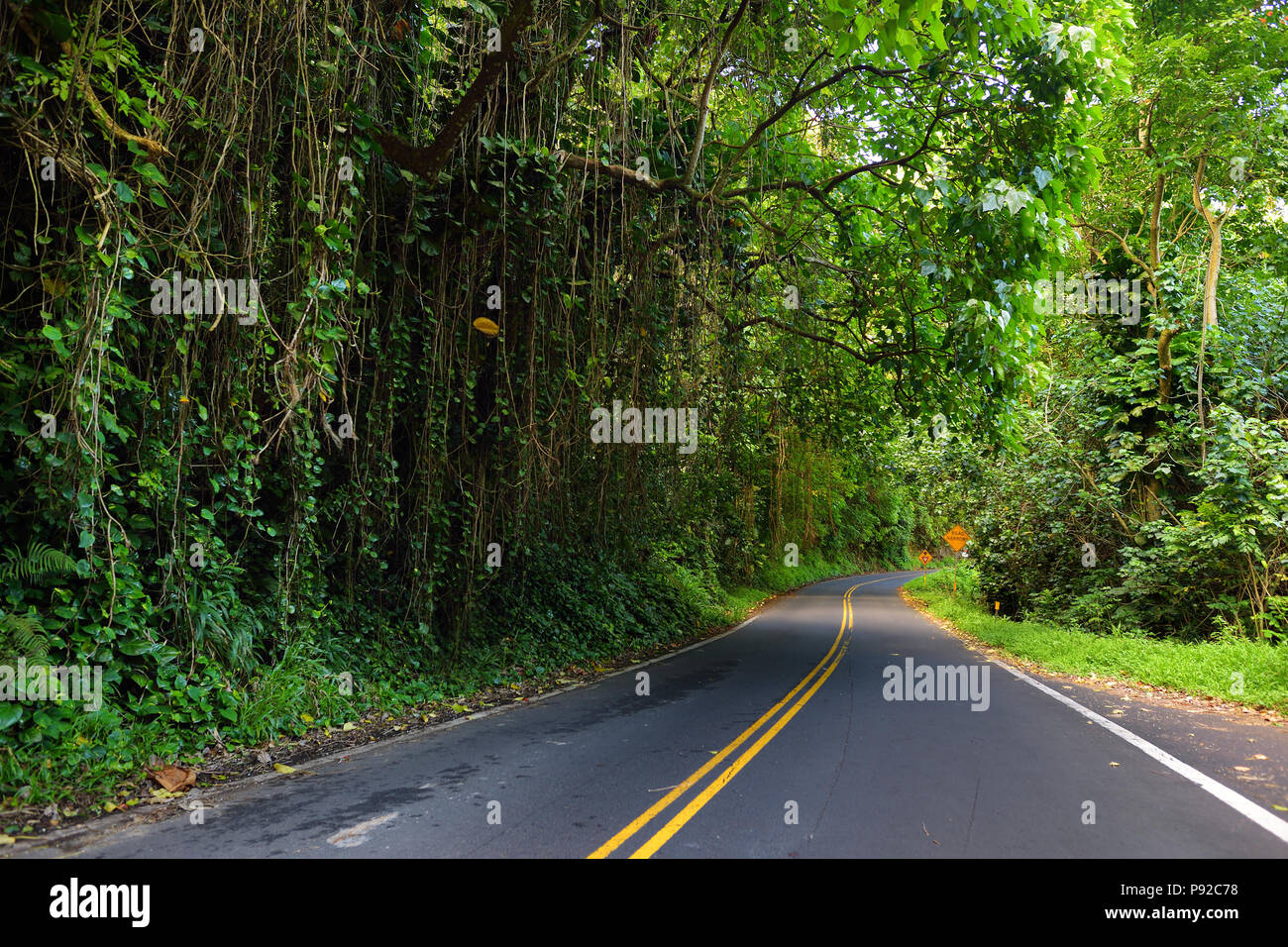 Famous Road to Hana fraught with narrow one-lane bridges, hairpin turns ...
