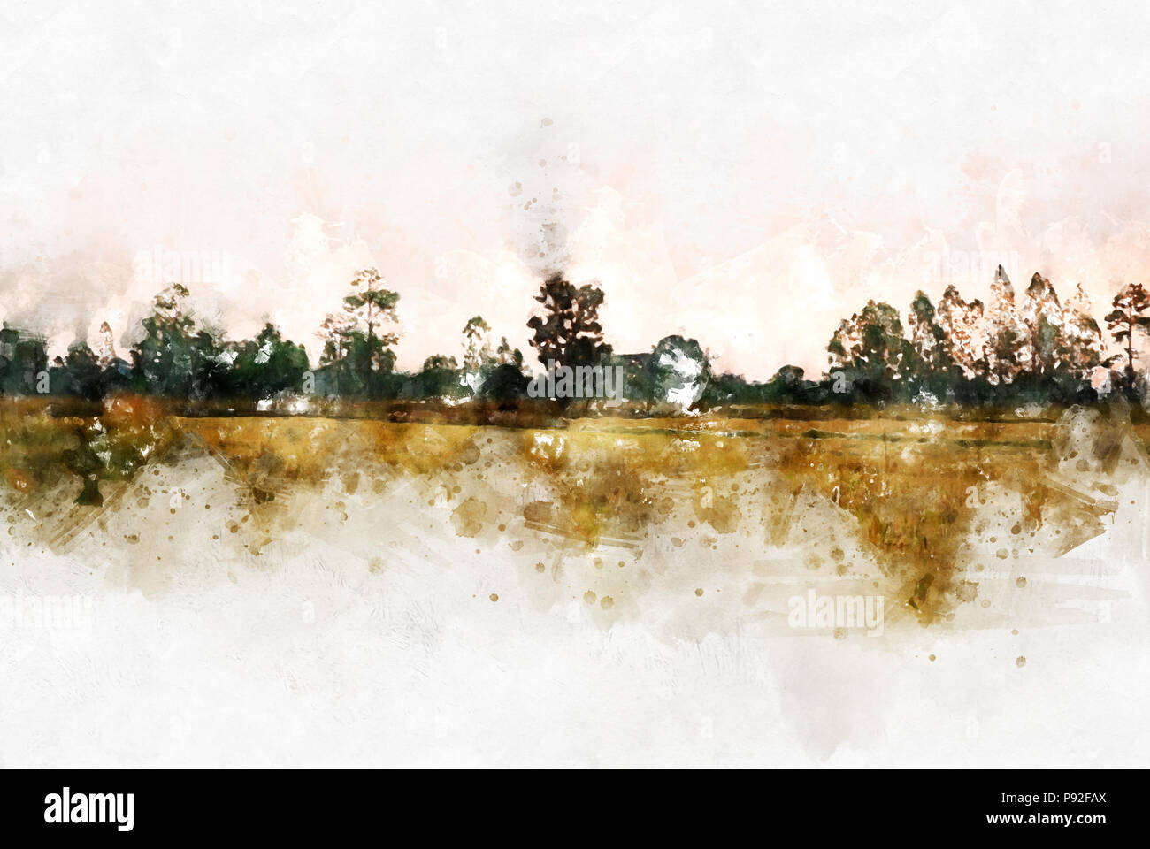 Beautiful field and tree landscape watercolor painting background Stock ...