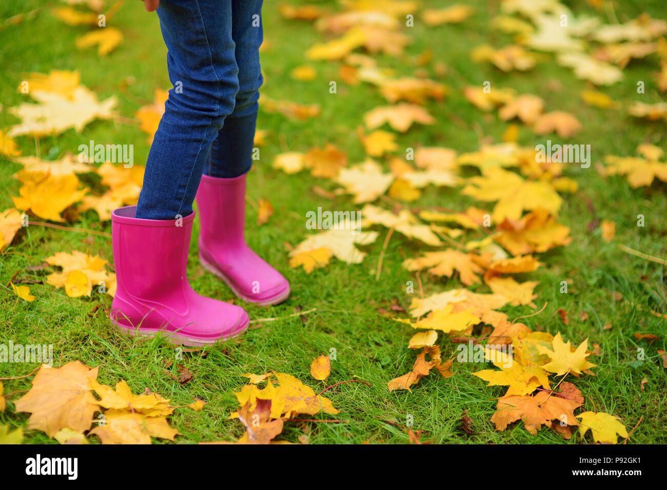 Cute little girl having fun on beautiful autumn day. Happy child ...