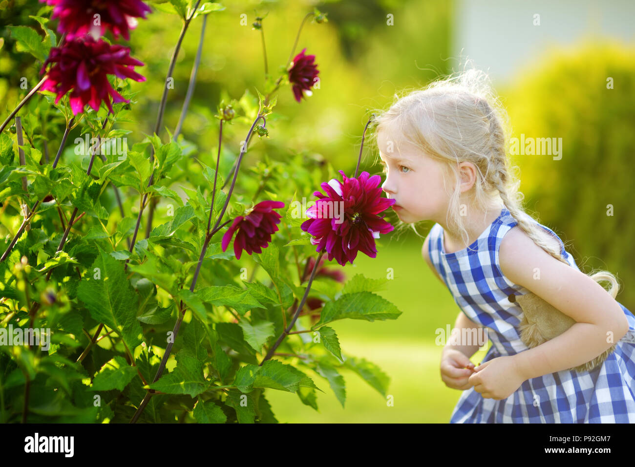 Adorable little girl sniffing purple flowers. Child and flowers, summer ...
