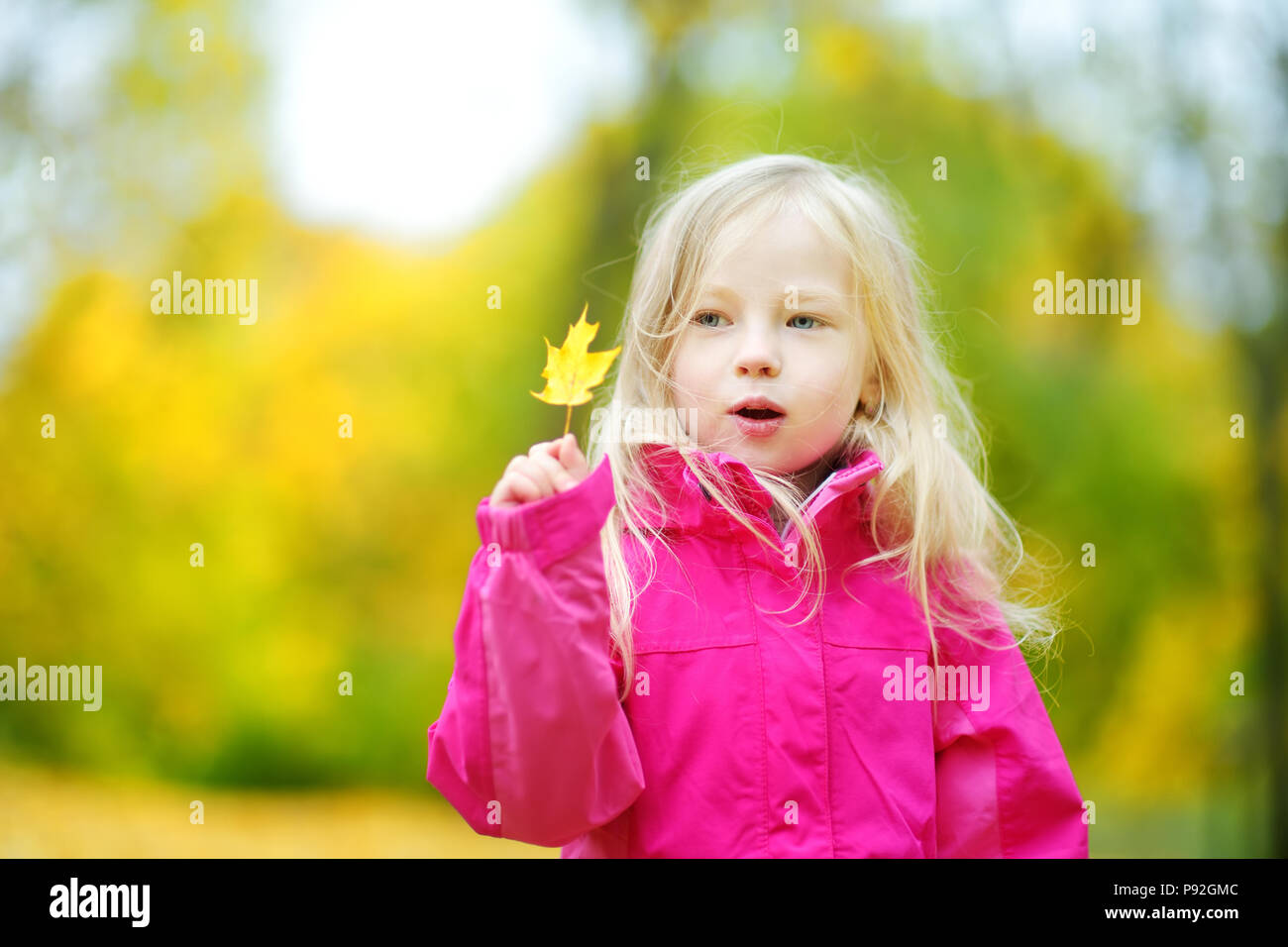 Cute little girl having fun on beautiful autumn day. Happy child ...