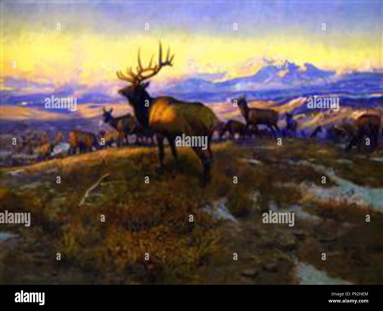 Exalted ruler hi-res stock photography and images - Alamy