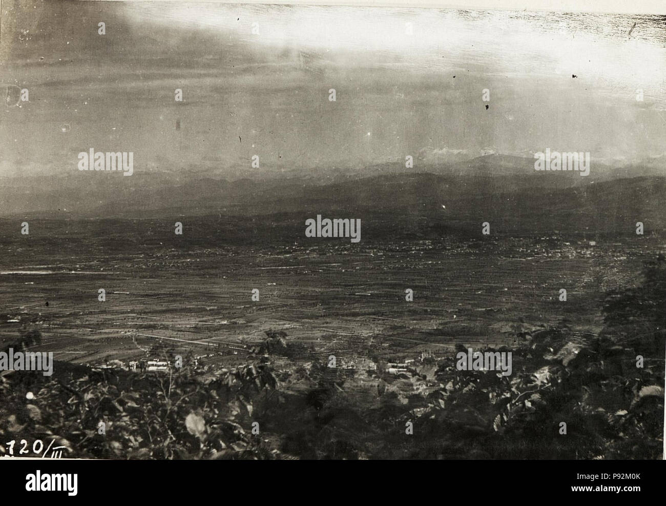 Fajti hrib hi-res stock photography and images - Alamy