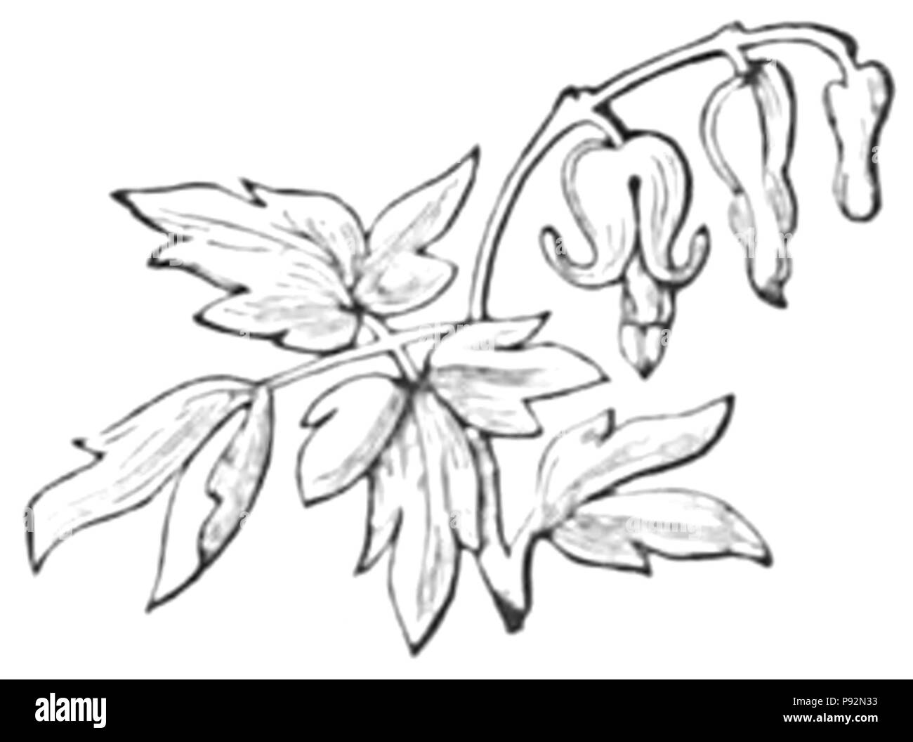 End of the island Cut Out Stock Images & Pictures - Alamy