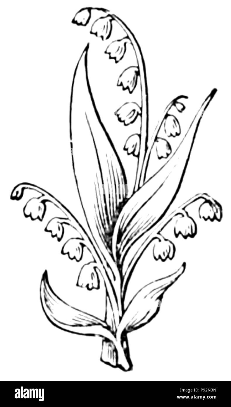 New expedition Cut Out Stock Images & Pictures - Alamy