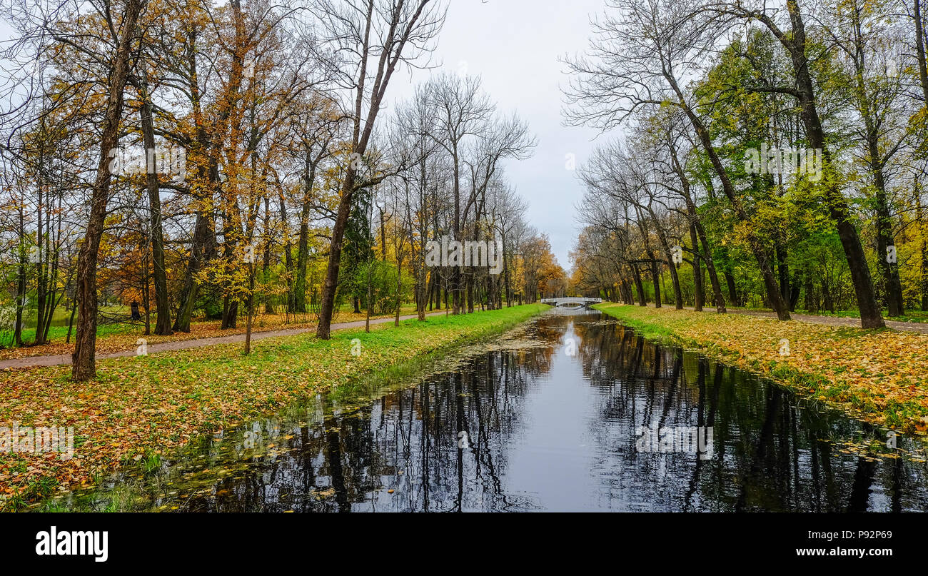 Autumn park with many maple trees in Saint Petersburg, Russia Stock ...