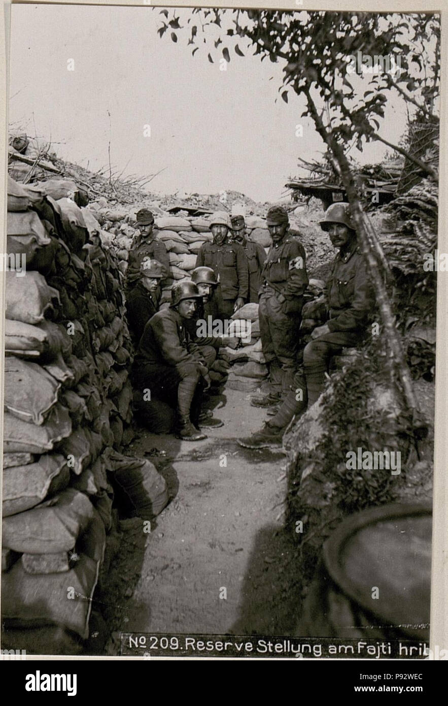 Fajti hrib hi-res stock photography and images - Alamy