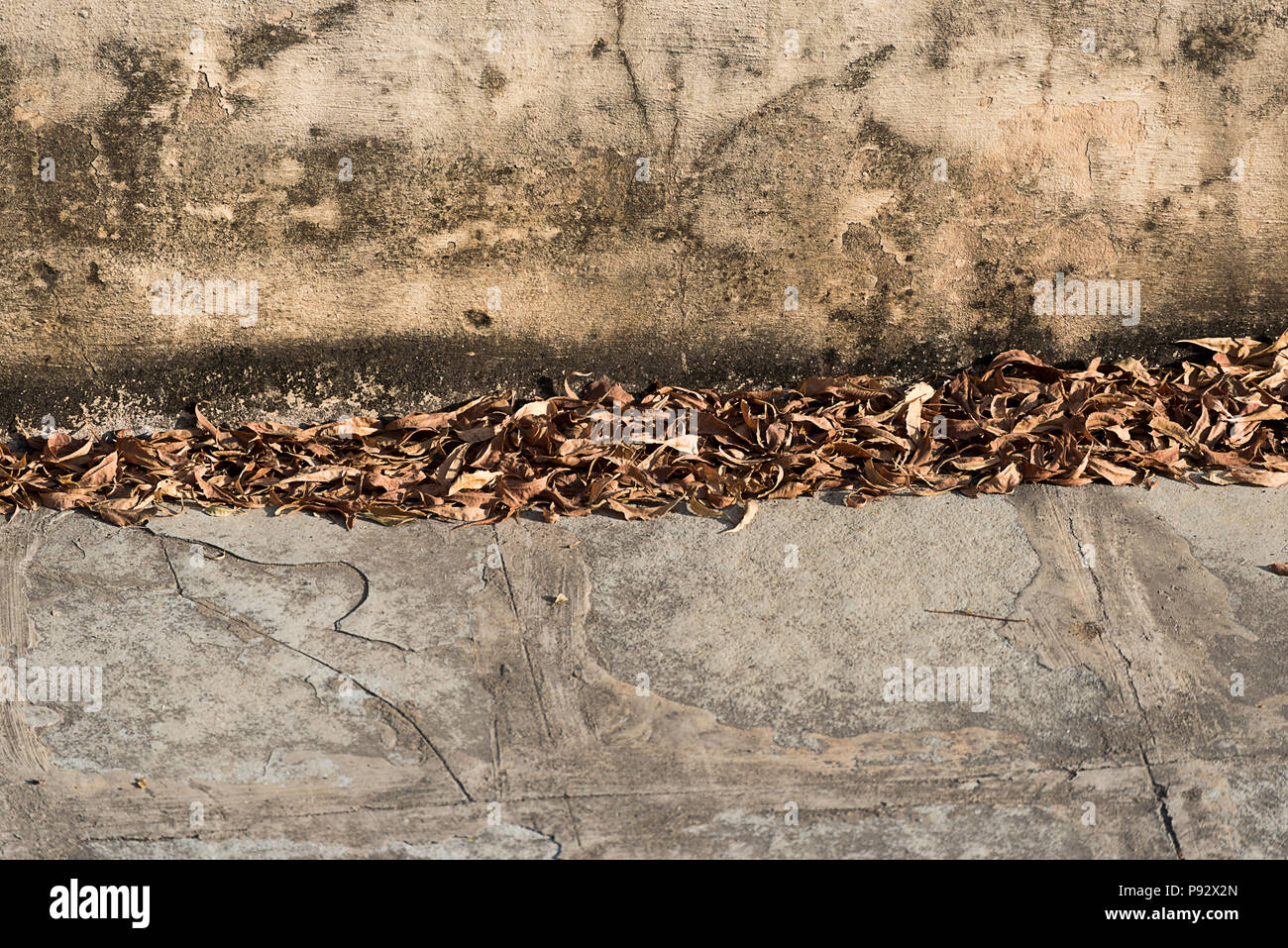 Dead pile of leaves hi-res stock photography and images - Alamy
