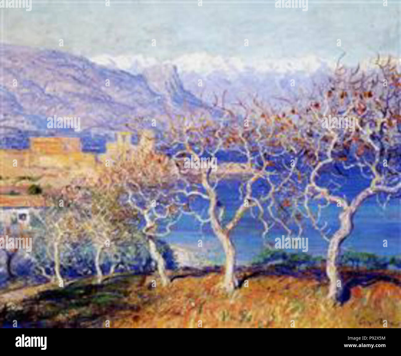 Fig trees hi-res stock photography and images - Alamy