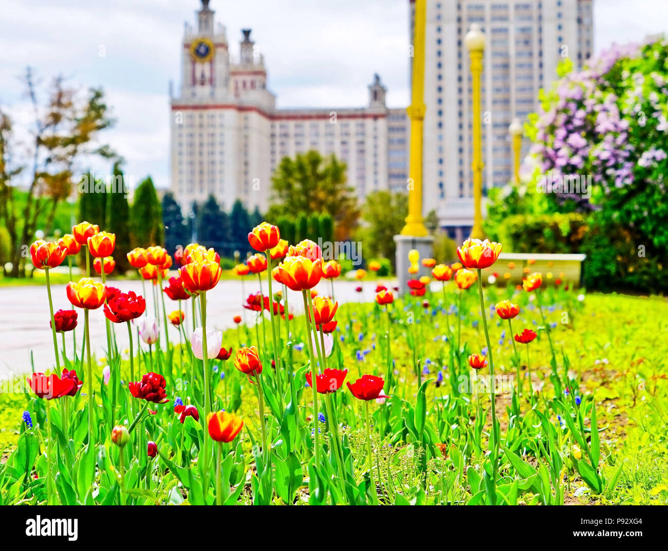 View of Moscow State University with lots of flowers in summer in ...