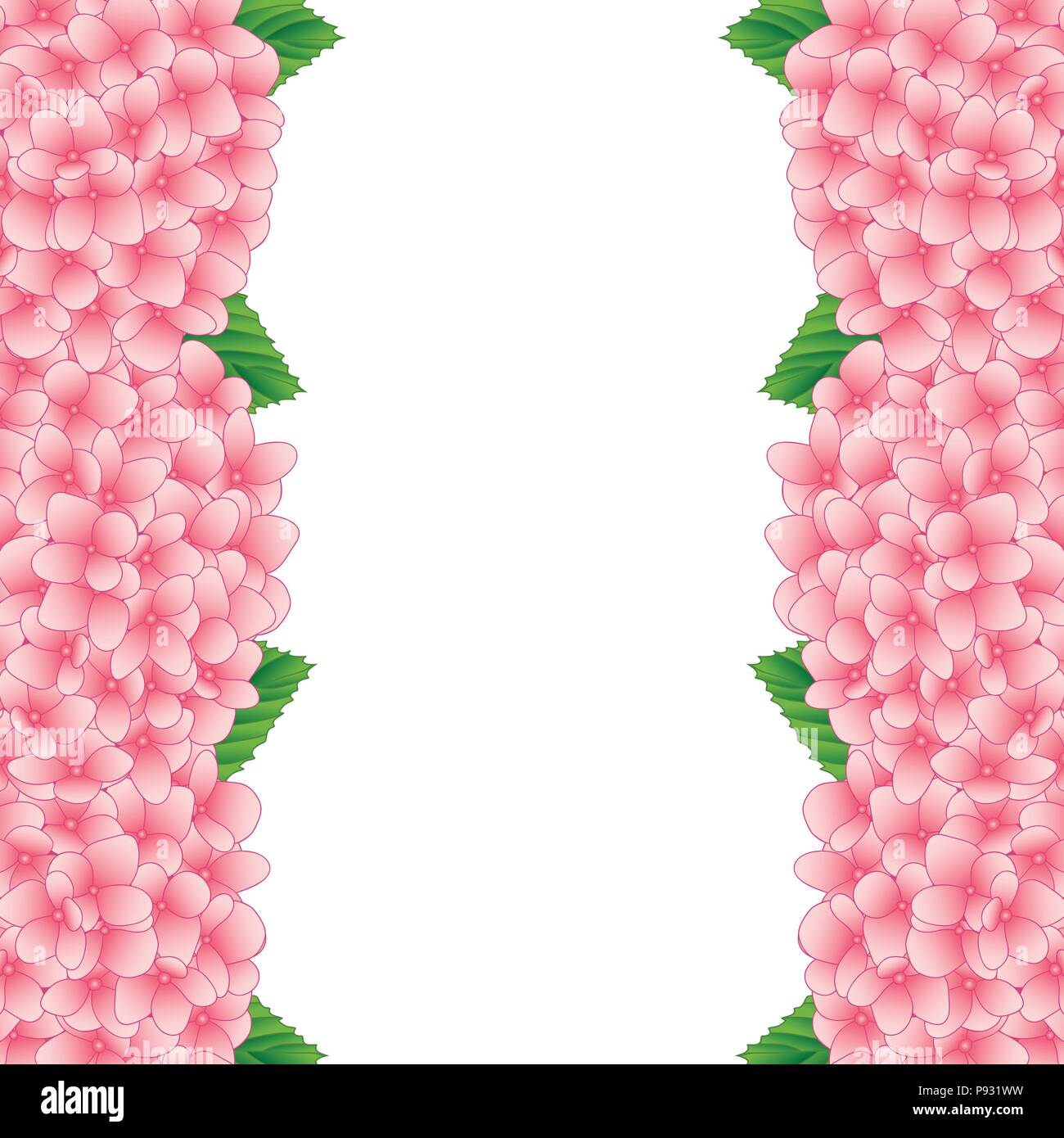 Hydrangea Border High Resolution Stock Photography and Images - Alamy