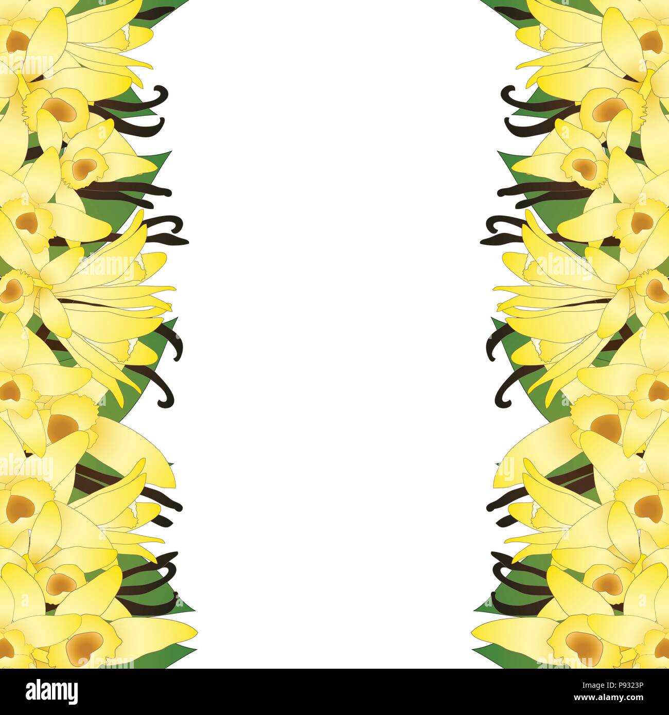 Vanilla Planifolia Flower and Vanilla Pods or Beans Border. Ice Cream ...