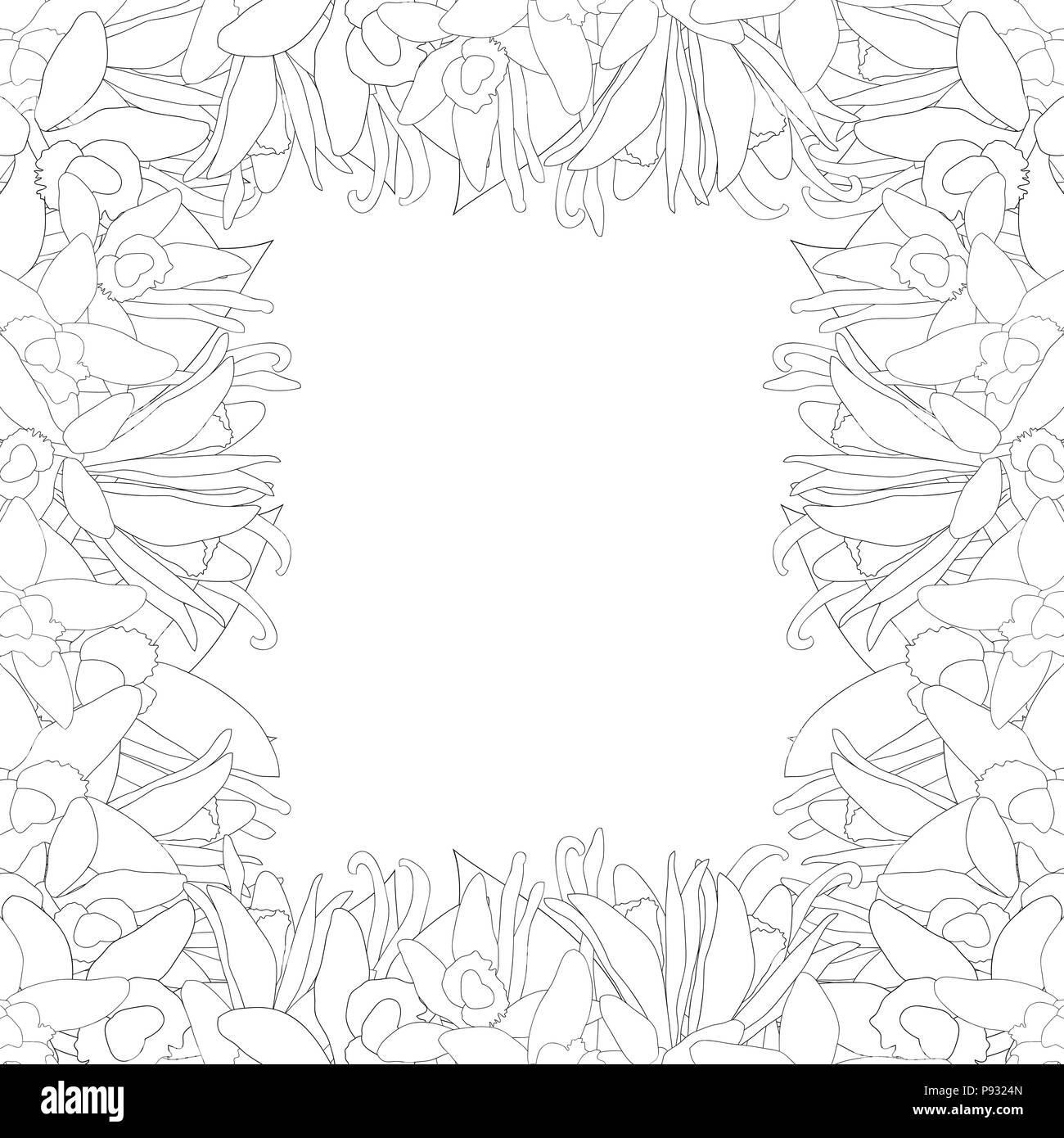 Vanilla Planifolia Flower and Vanilla Pods or Beans Outline Border. Ice ...