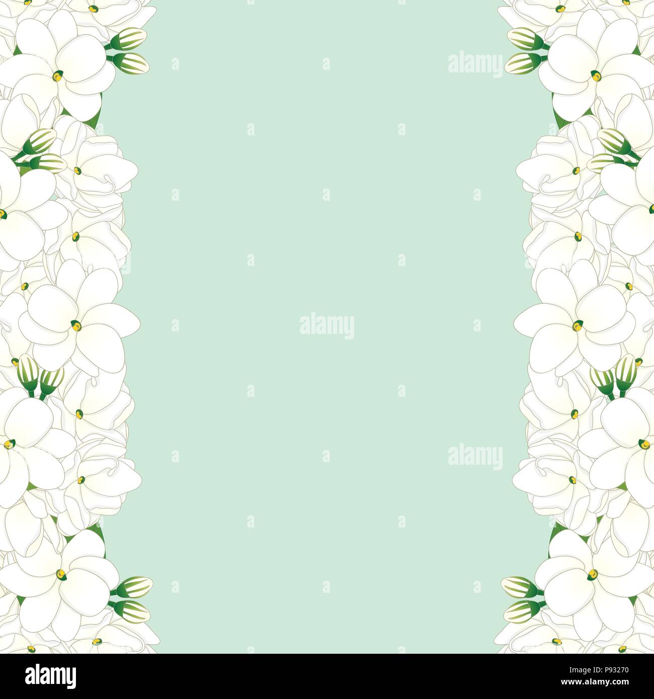 Jasminum sambac - Arabian jasmine Border on Green Mint Background ...