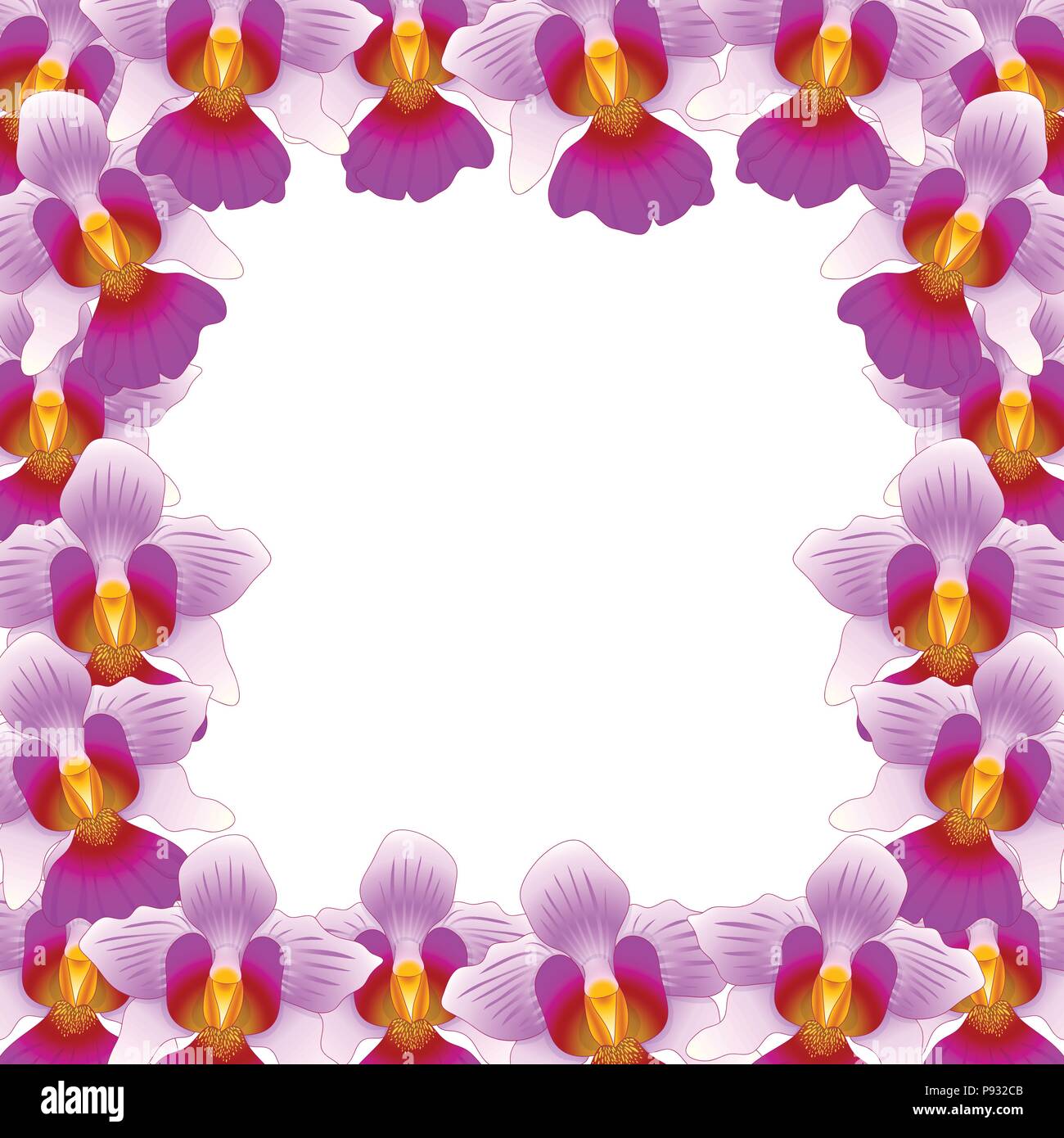 Vanda Miss Joaquim Orchid Border isolated on White Background. Vector ...