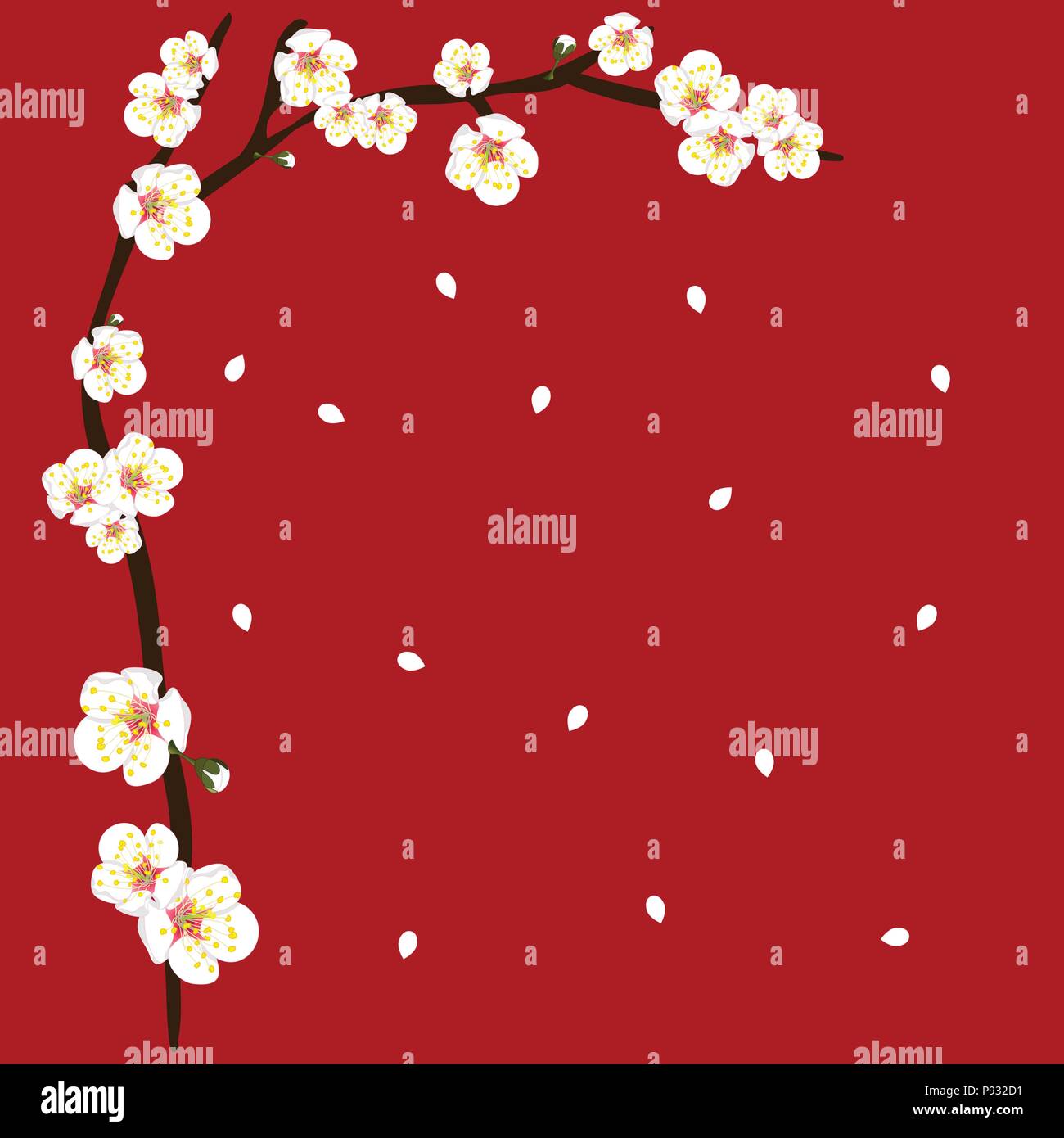 White Plum Blossom Flower Border on Red Background. Vector Illustration ...