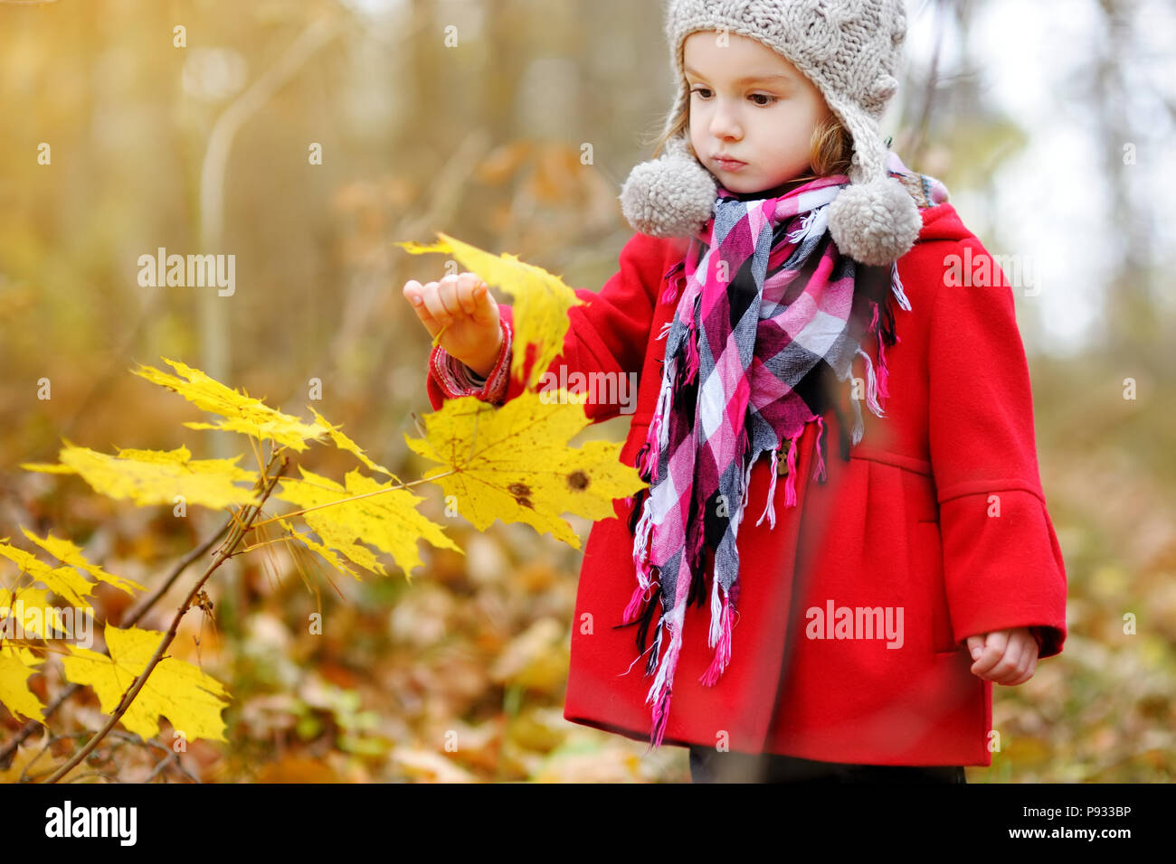 Cute little girl having fun on beautiful autumn day. Happy child ...