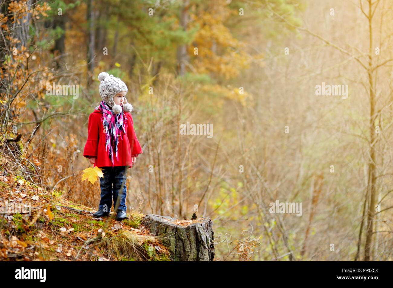 Cute little girl having fun on beautiful autumn day. Happy child ...