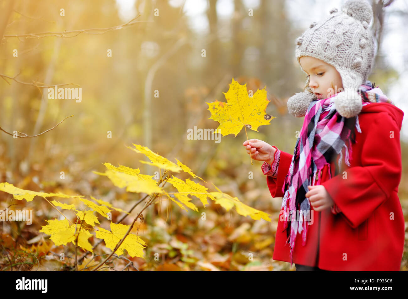 Cute little girl having fun on beautiful autumn day. Happy child ...