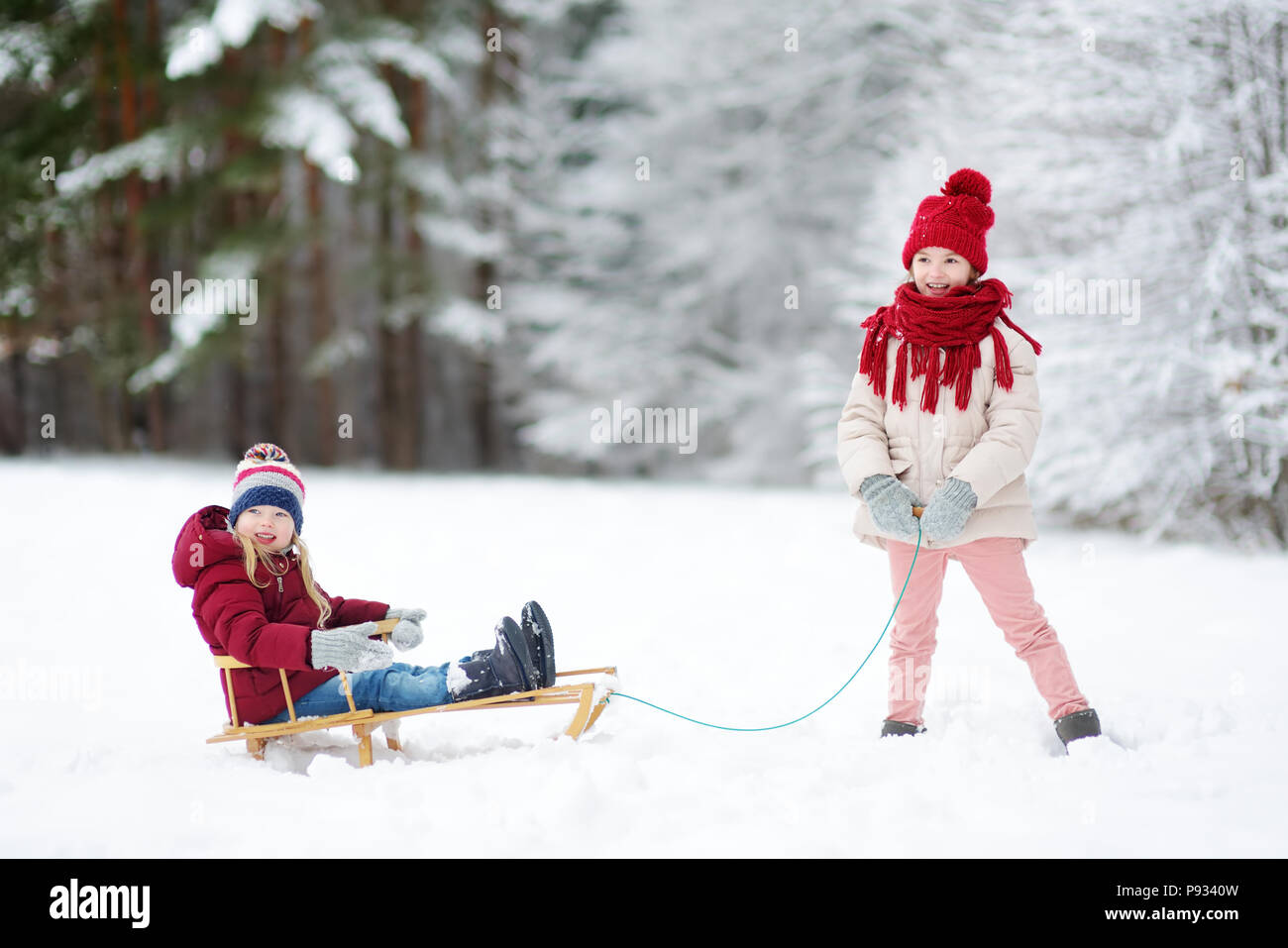 Two funny little girls having fun with a sleight in beautiful winter ...