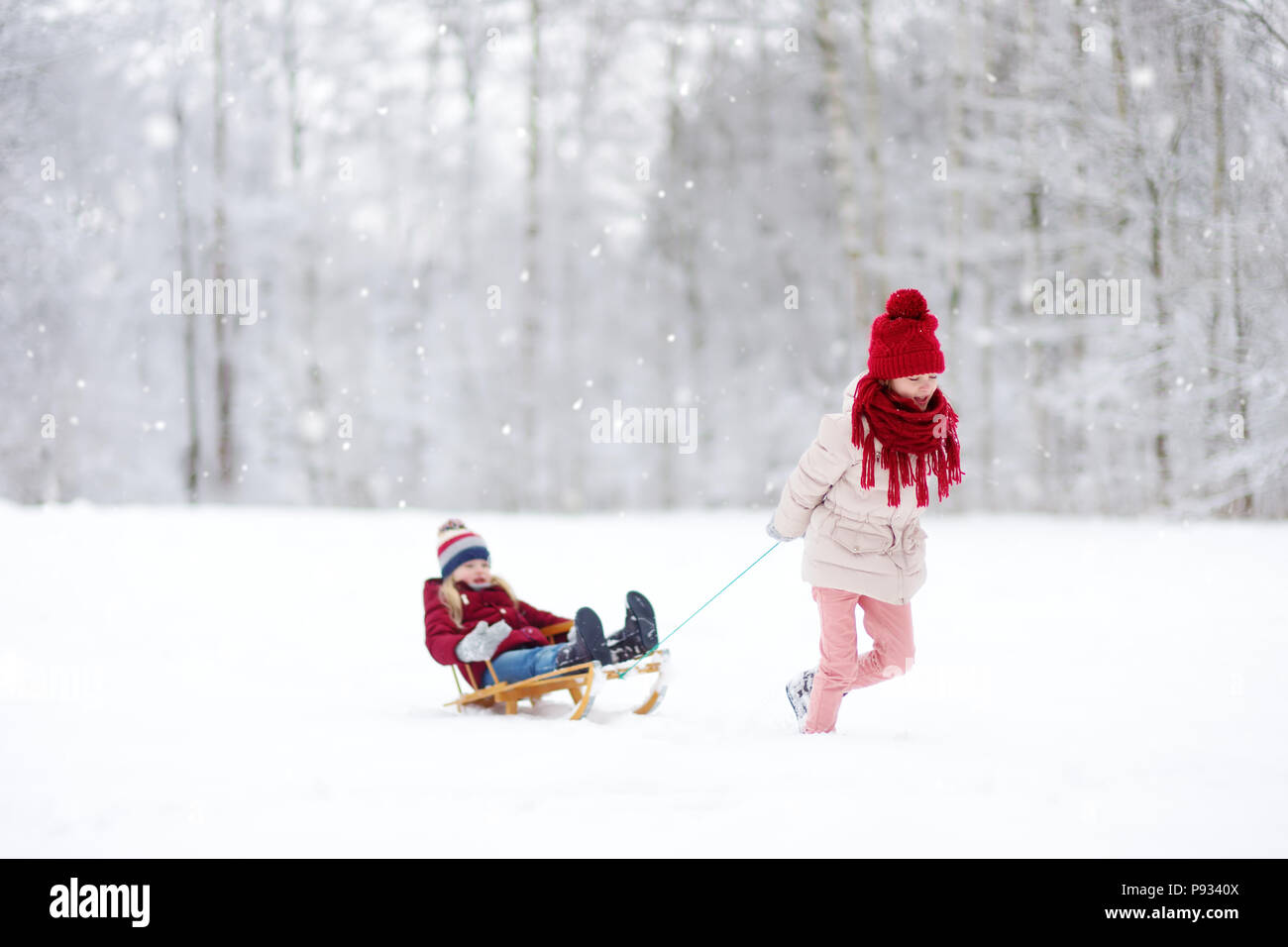Two funny little girls having fun with a sleight in beautiful winter ...