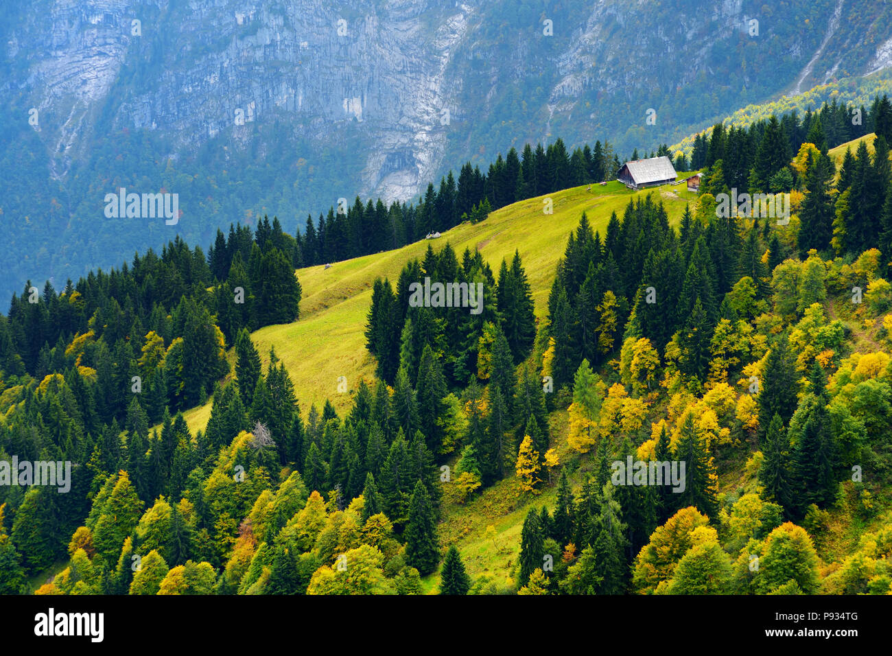 Breathtaking lansdcape of mountains, forests and small Bavarian ...