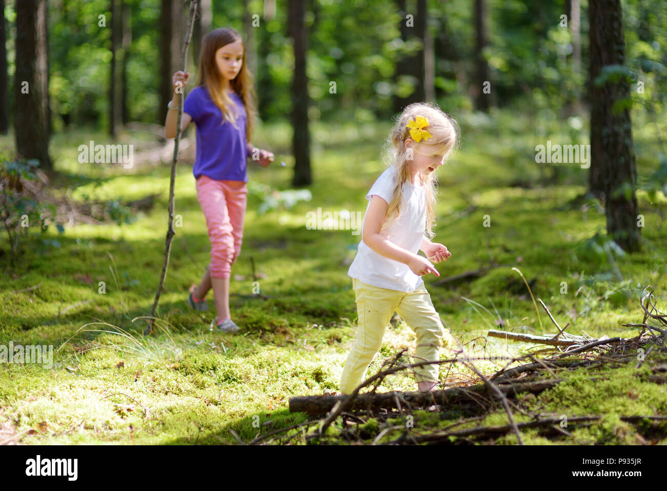 Two cute little sisters having fun during forest hike on beautiful ...
