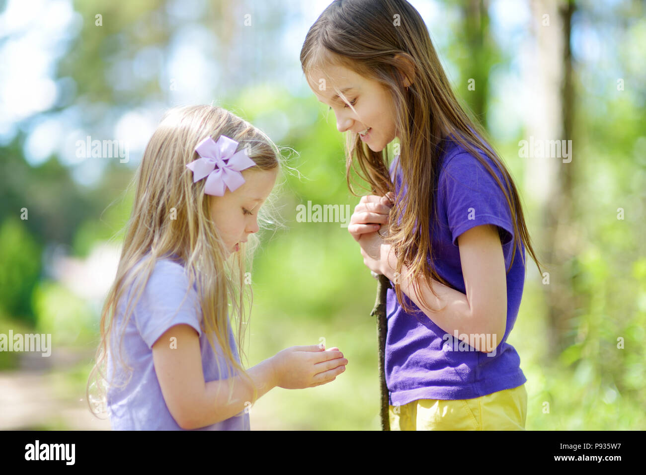 Two adorable little girl catching babyfrogs in summer forest. Active ...