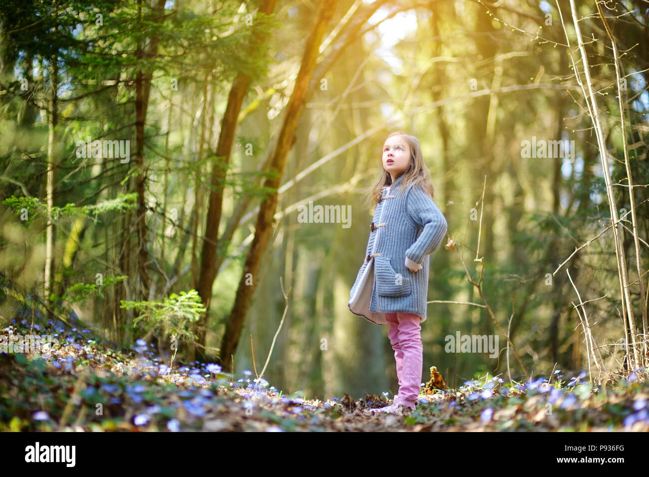 Adorable little girl picking the first flowers of spring in the woods ...