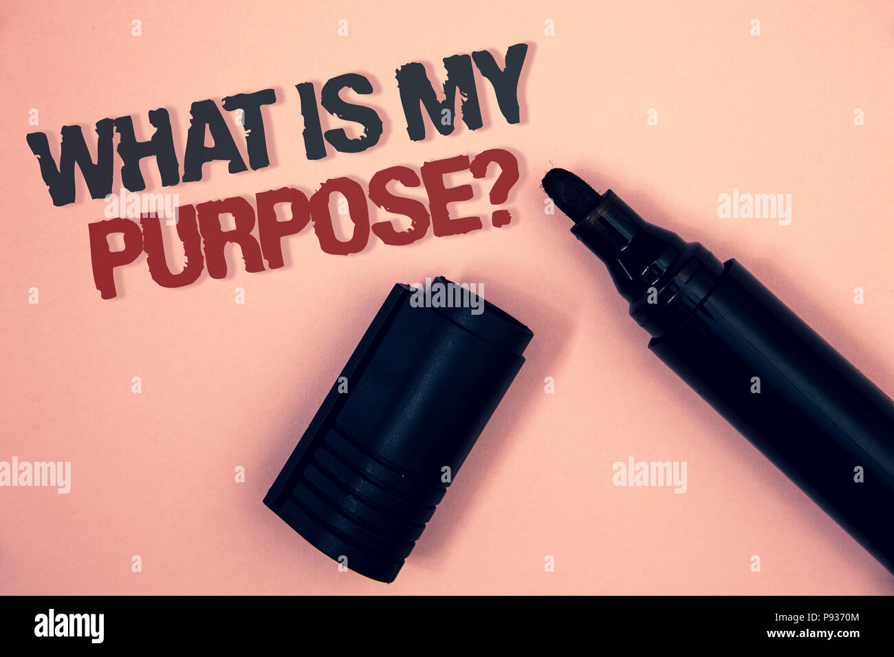 Text sign showing What Is My Purpose Question. Conceptual photo ...