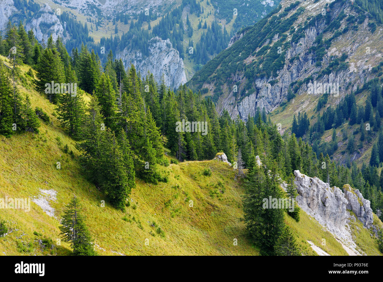 Picturesque views from the Tegelberg mountain, a part of Ammergau Alps ...