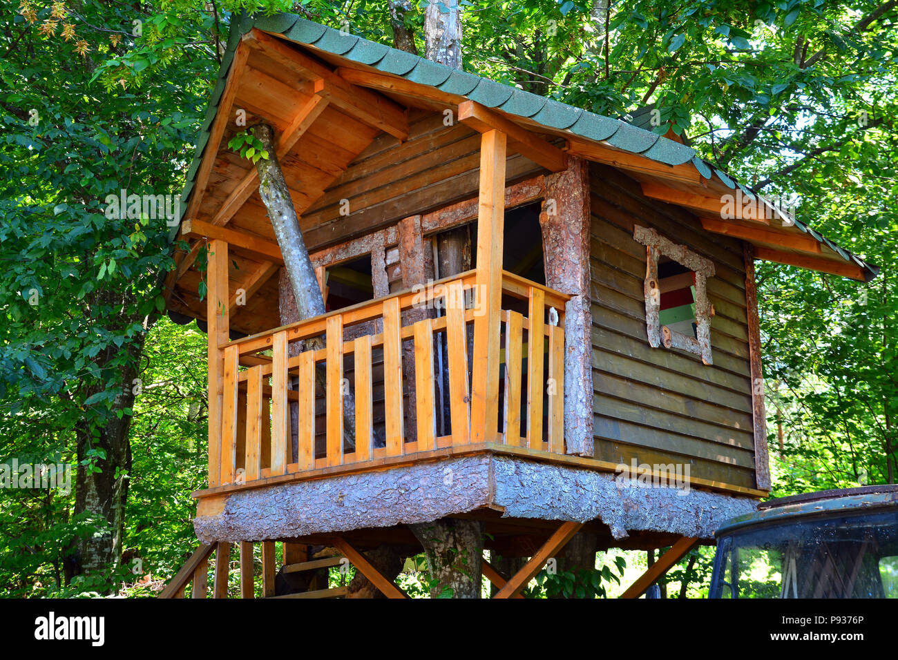 a wooden cabin built in a tree Stock Photo - Alamy