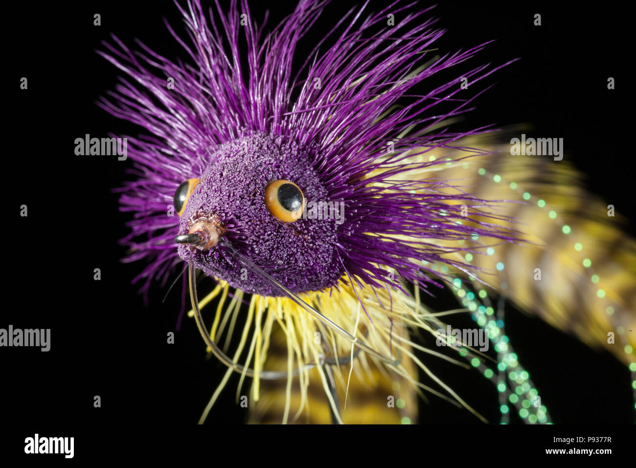 Flyfishing for predatory fish hi-res stock photography and images - Alamy