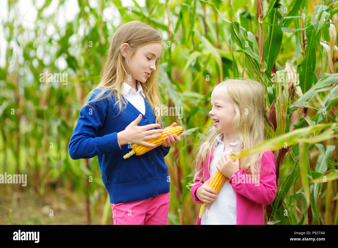 Children in corn field hi-res stock photography and images - Alamy