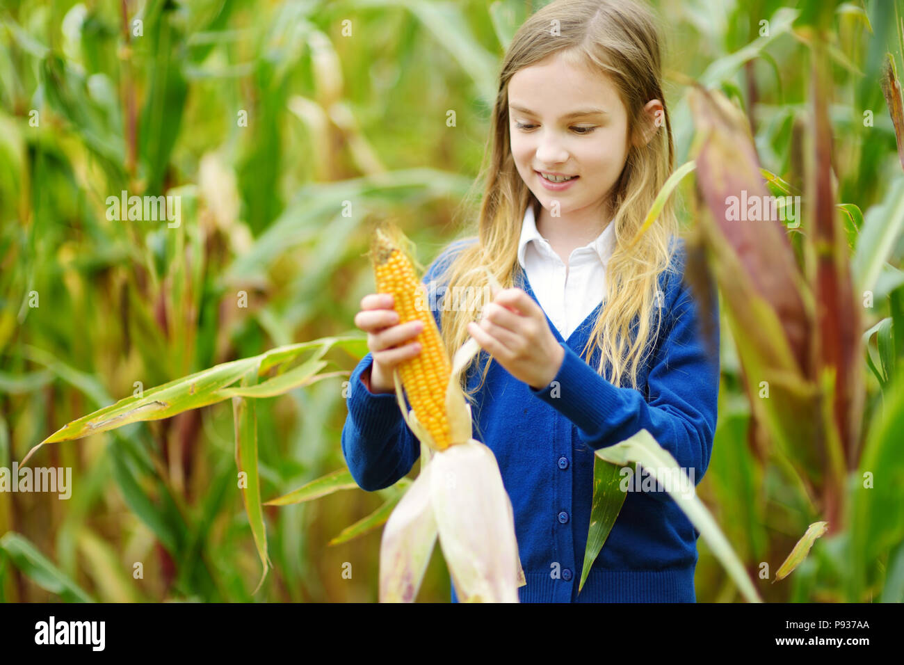Adorable girl playing in a corn field on beautiful autumn day. Pretty ...