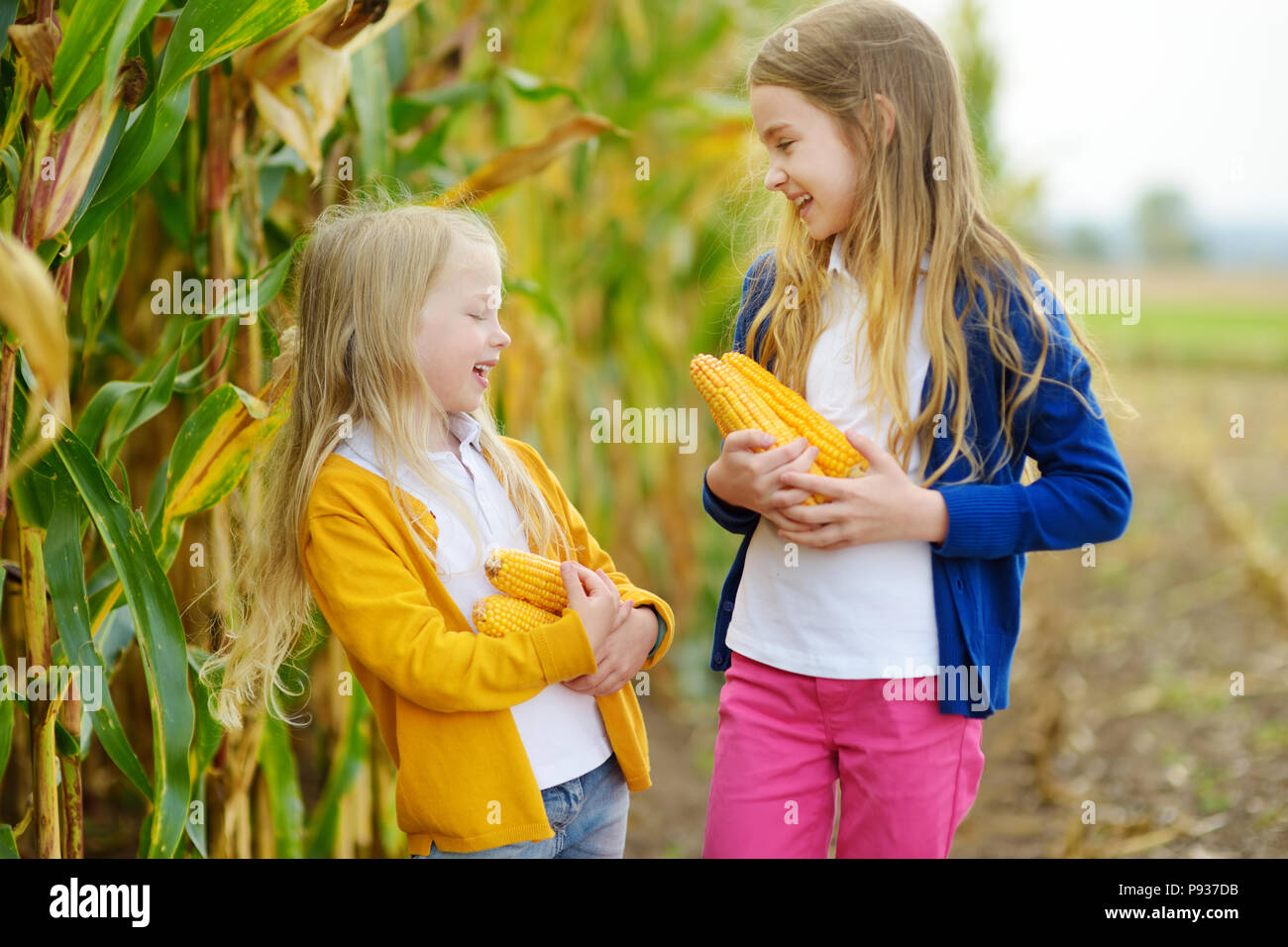Children in corn field hi-res stock photography and images - Alamy
