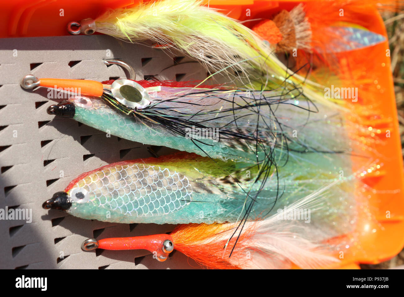 Types of pike flies hi-res stock photography and images - Alamy